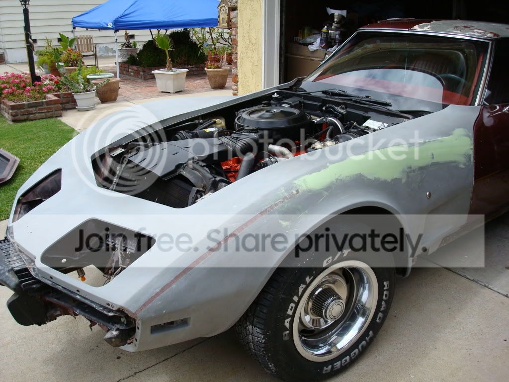 To strip or not? - CorvetteForum - Chevrolet Corvette Forum Discussion