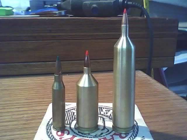 The Wildcat Thread | Indiana Gun Owners - Gun Classifieds and Discussions