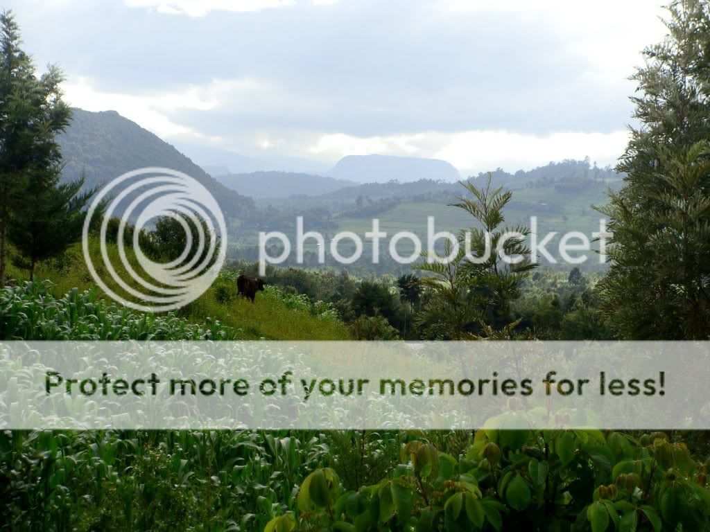 KABARNET, ITEN & ELDAMA RAVINE | SkyscraperCity Forum